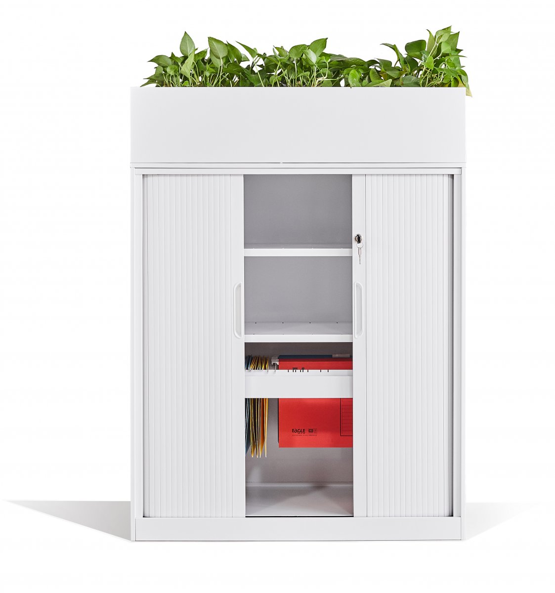 Diami | Home